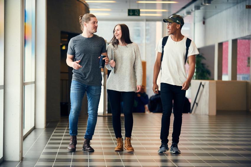 English study catalogue – All programs | UiT