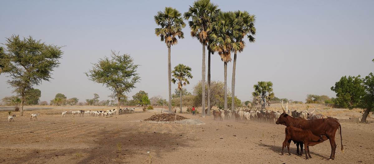 Sahel on Sahel | UiT