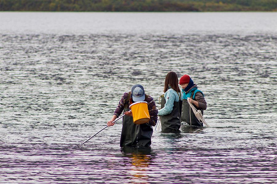 Freshwater Ecology | UiT