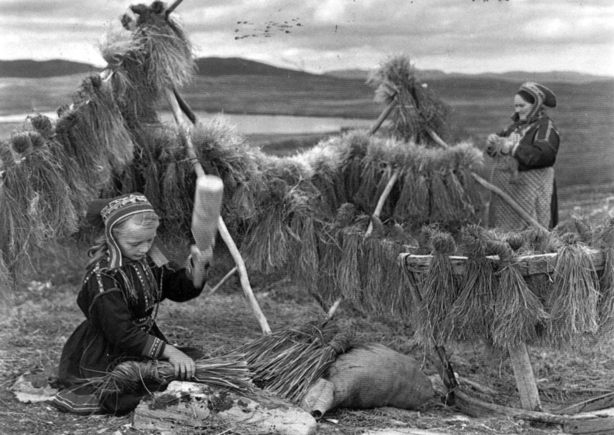 STraKBU, Samisk Tradisjonell Kunnskap og Bærekraftig Utvikling | UiT