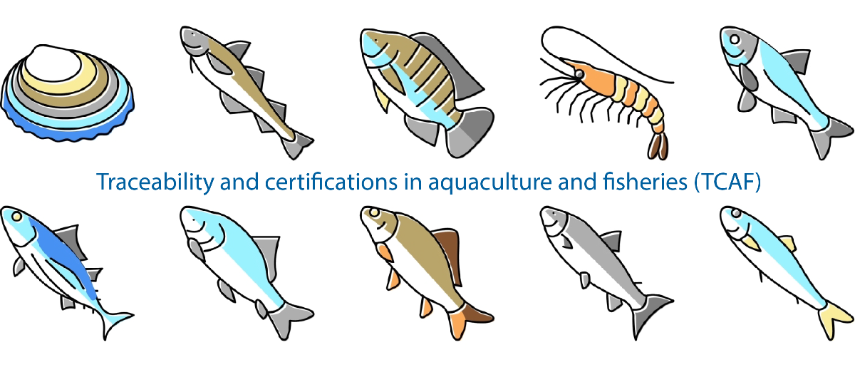 Traceability and certifications in aquaculture and fisheries (TCAF) | UiT