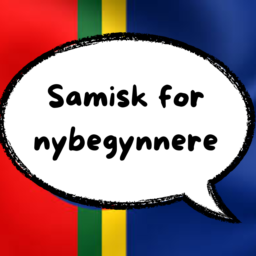 Samisk for nybegynnere | Kurs i nordsamisk | UiT