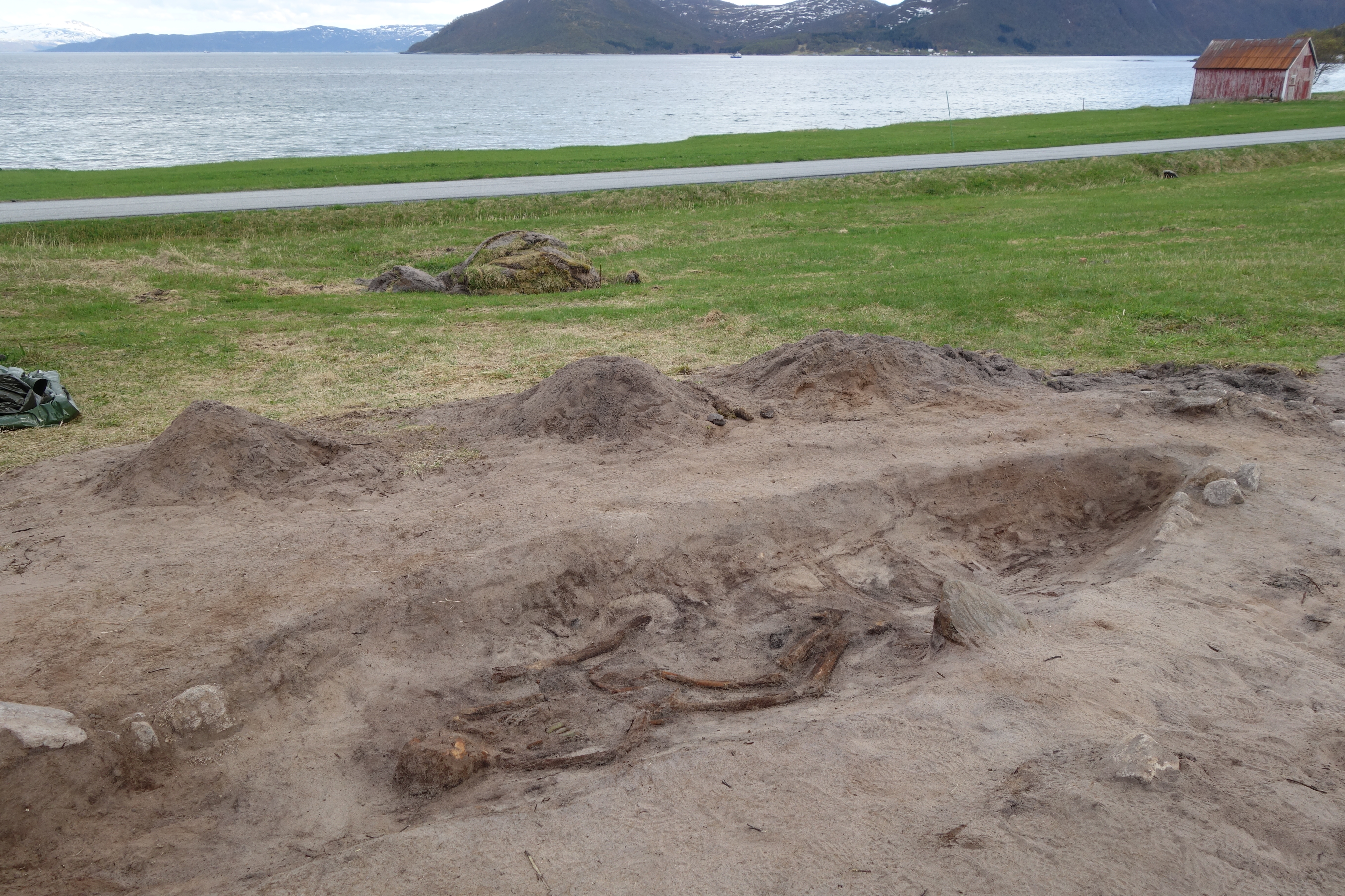 Un perro acompañó a una mujer en una barca funeraria vikinga